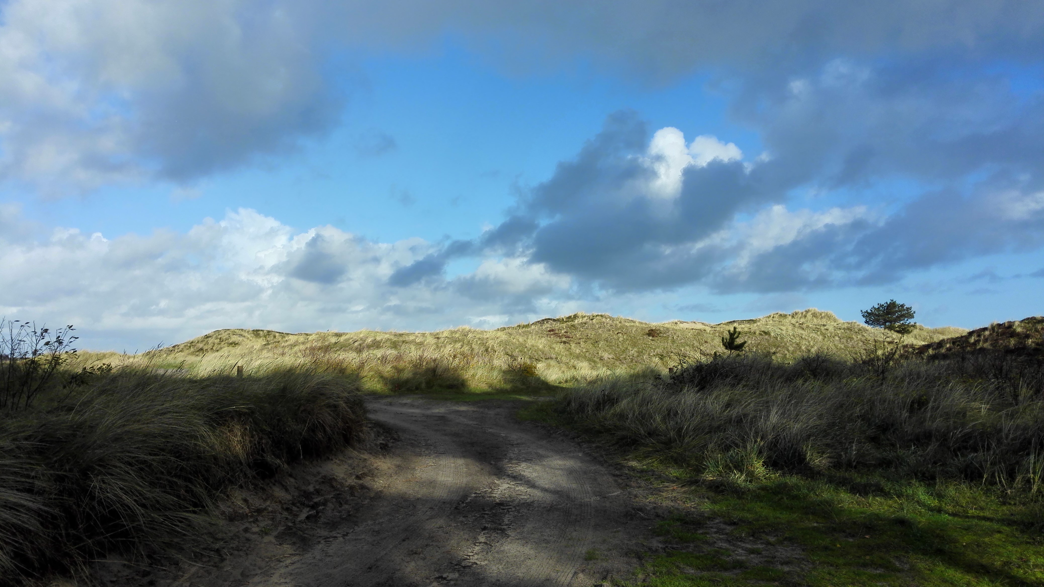 Het dappere strandlopertje – Vanzelfsprekender